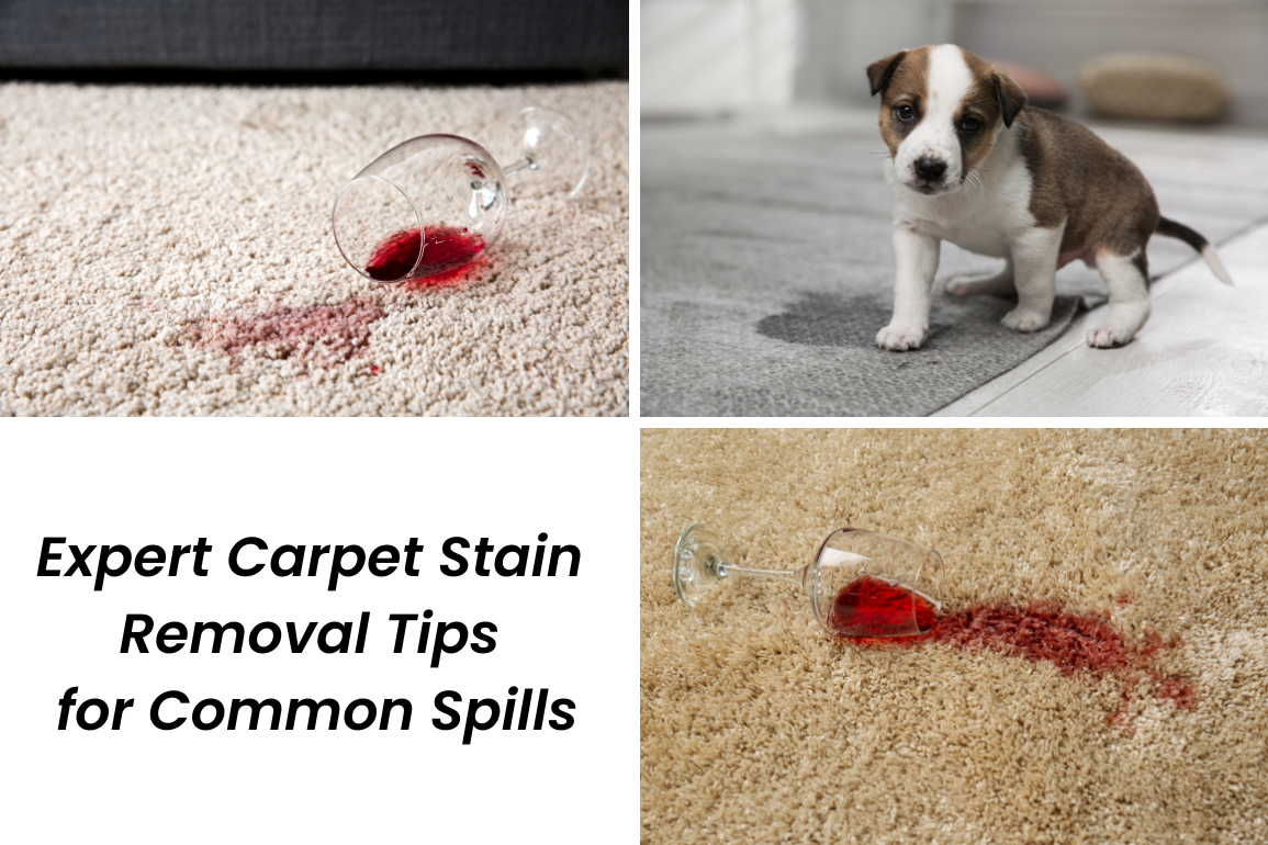 Expert Carpet Stain Removal Tips for Common Spills - Carpet Planet